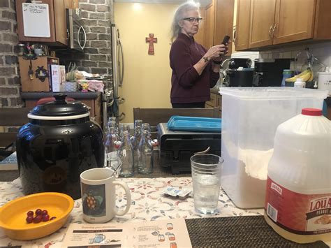 First Ferments Rfermentation