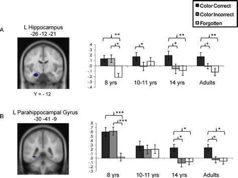 Age Related Differences In Patterns Of Activation During Encoding In Download Scientific