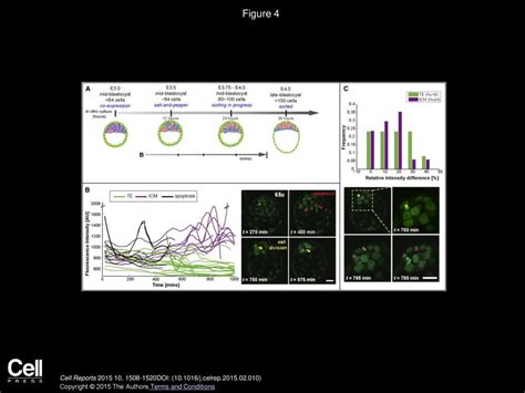 Volume 10 Issue 9 Pages March 2015 Ppt Download