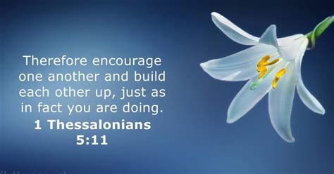 Palabras De Aliento Y Sabiduría Bíblicas Para El Día