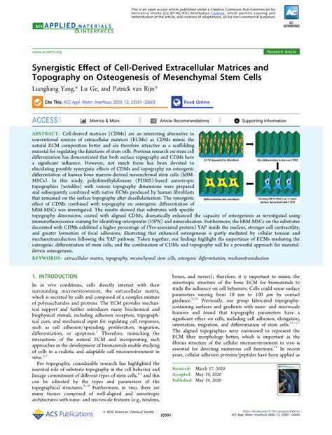 Pdf Synergistic Effect Of Cell Derived Extracellular Matrices And Topography On Osteogenesis