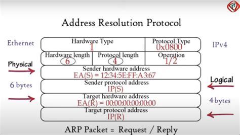 arp protocol address resolution protocol arp computer network