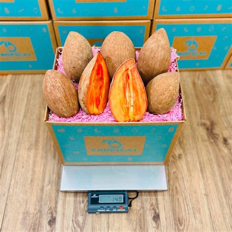 Mamey Color