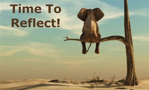 Time To Reflect Reflection Live Life Motivation
