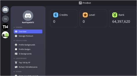 How To Setup And Use Probot On Discord Techwiser