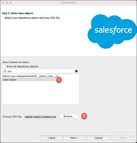 Insert Users With Data Loader In Salesforce Automation Champion