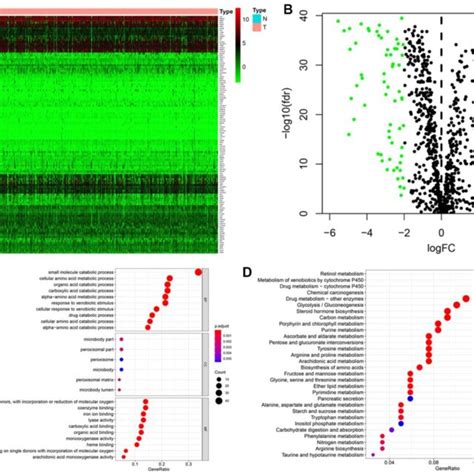 Relationship Between Risk Scores And Clinicopathological Features A