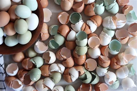 How To Make Eggshell Powder And 10 Ways To Use It — Practical Self Reliance