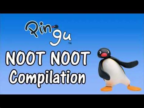 Noot Noot Pingu Noot Noot Compilation Youtube