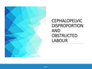 Comprehensive Overview Of Cephalopelvic Disproportion And Obstructed