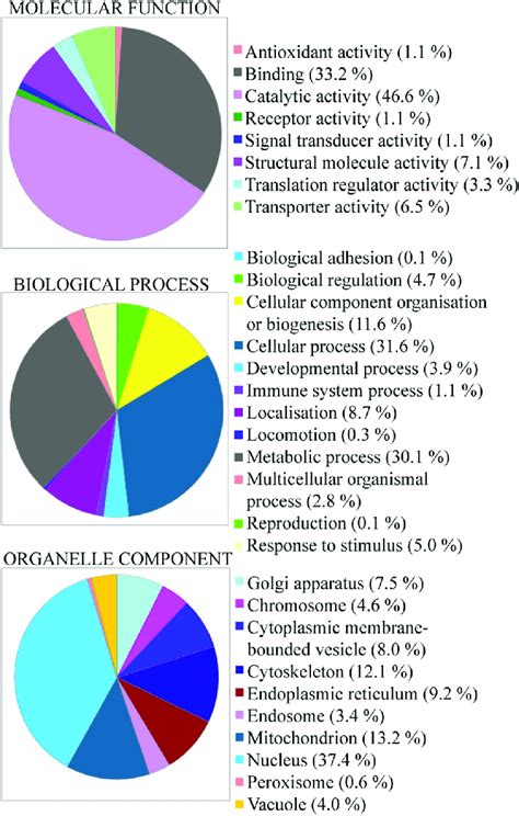 Distribution Of Subcellular Component Molecular Function And