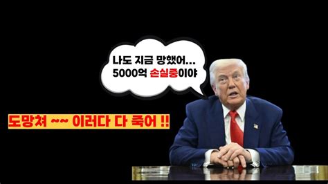 리플호재 이제 정말 리플이 리플하나 Youtube