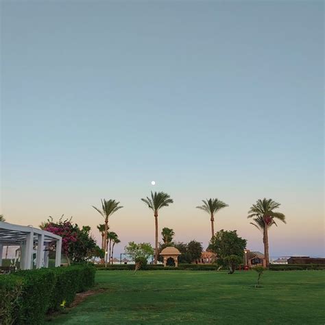 Pin De пирожок с картошкой En Рисунки