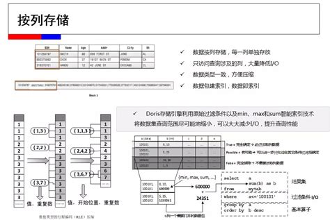 apache doris incubating 原理与实践 数据库 李超勇 infoq精选文章