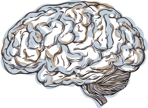 Non Invasive Neuromodulation Integrated Renewal