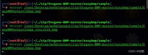 【ctf题目】01巍然不动 misc 隐写 ctf pdf隐写用什么解 csdn博客