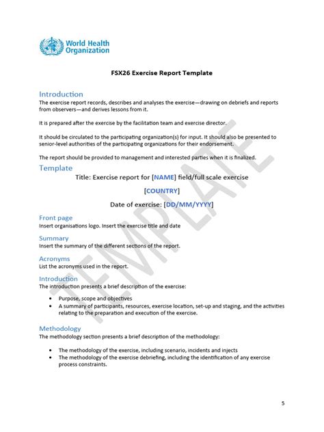 Fsx 26 Exercise Report Template Pdf