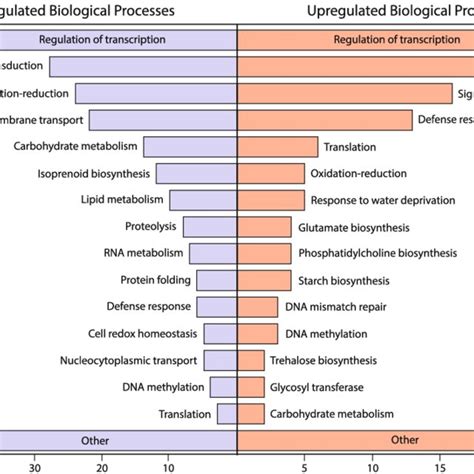 Functional Analysis Of Differentially Expressed Transcripts Biological