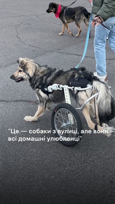 Суспільне Миколаїв У колекції Миколаївського обласного краєзнавчого музею зберігається понад