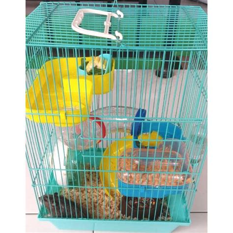 Jual Hamsten Jantan Dewasa Kandang Shopee Indonesia