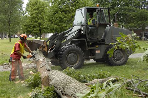 Tree Removal Companies In Toronto Edmonton Or Ottawa