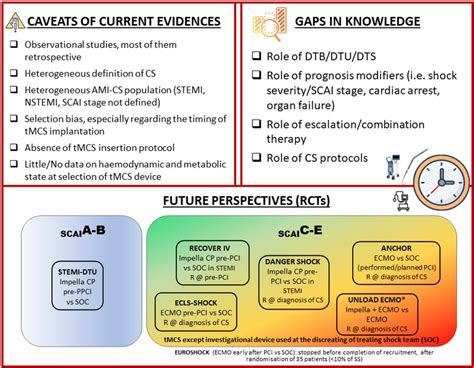 Figure 1 From Timing And Treatment Strategies According To Scai