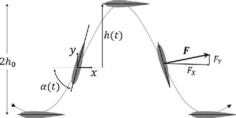 Figure 1 From Hydrodynamic Efﬁciency Analysis Of A Flexible Hydrofoil