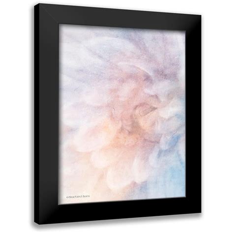 Bluebird Barn 19x24 Black Modern Framed Museum Art Print Titled Soft