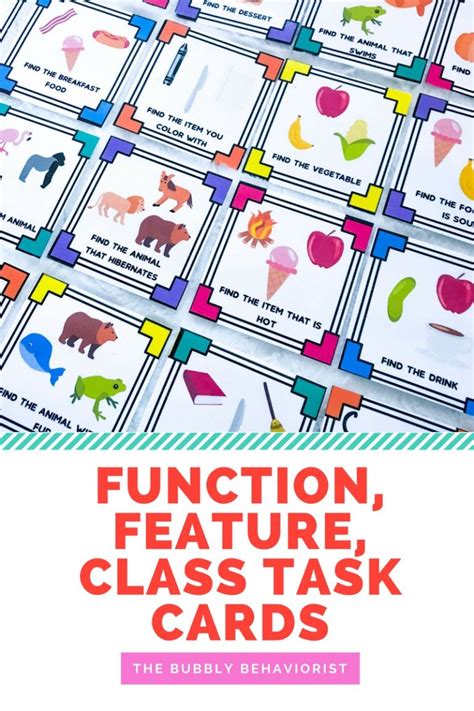 Receptive Identification Feature Function Class Activities Ablls