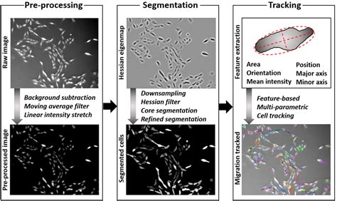 Vlachos Research Group Multi Feature Based Robust Cell Tracking