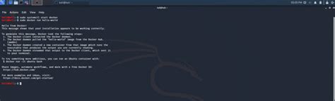Comment Installer Docker Sur Kali Linux 2020 1 Linux Hint Virtual World
