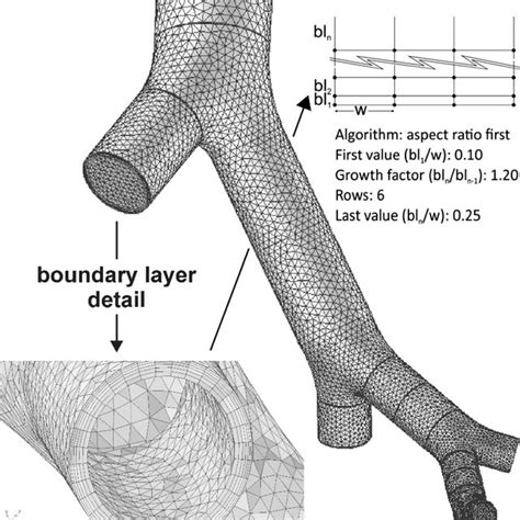 Surface Meshes At Some Branches And A Detail Of The Boundary Layer Mesh Download Scientific