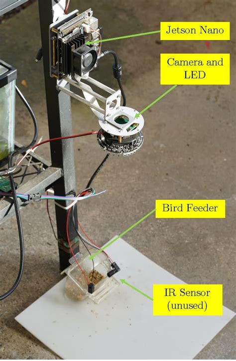 BirdCam A Real Time Garden Bird Classification With Jetson Nano Jetson Projects NVIDIA