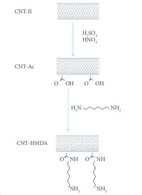 Surface Modification And Functionalization Download Scientific Diagram