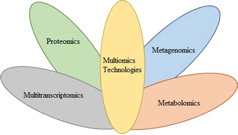 Advanced Methods And Tools For The Finding And Improvement Of The Novel