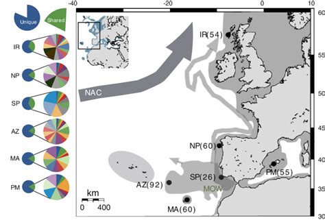Sampling Locations Sampling Codes And Number Of Individuals In