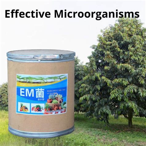 Effective Microorganisms Em菌 发酵菌em菌分解em菌 Effective Microorganisms Lazada