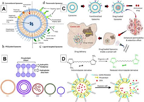 Schematic Representation Of The Different Types Of Liposomal Drug