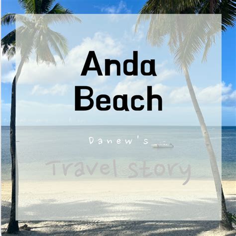 세부and보홀여행🇵🇭 보홀안다비치 가는 방법 숙소 액티비티 네이버 블로그