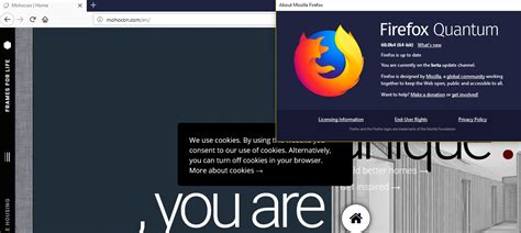 100vh Not Showing In Firefox Support Themeco Forum