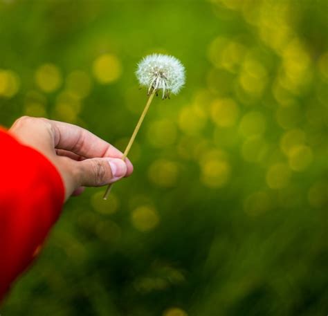 Rumbling With Vulnerability United Presbyterian Church