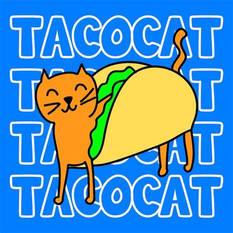 Taco Cat Vectors And Illustrations For Free Download Freepik
