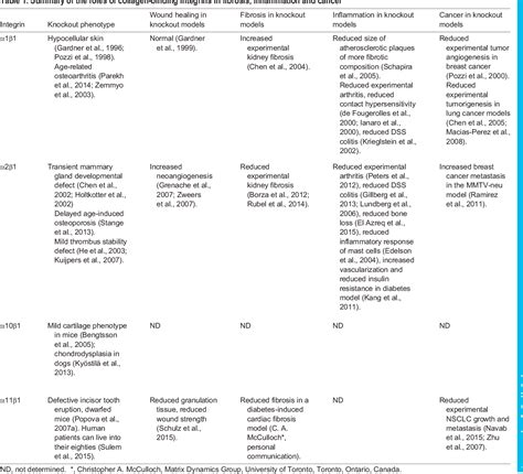 Table 1 From The Integrincollagen Connection A Glue For Tissue Repair Semantic Scholar