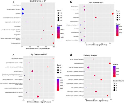 results of m6a rna sequencing data analysis with david 6 7 software download scientific