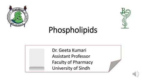 Solution Phospholipids Definition Structure And Properties Of Phospholipids Physiology Theory