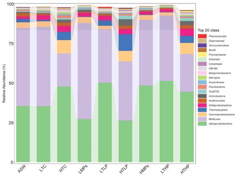 Unraveling The Impact Of Microplastictetracycline Composite Pollution
