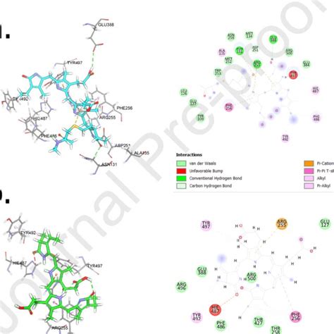 A Detailed View Of Low Energy Binding Conformations Of Phycocyanin A
