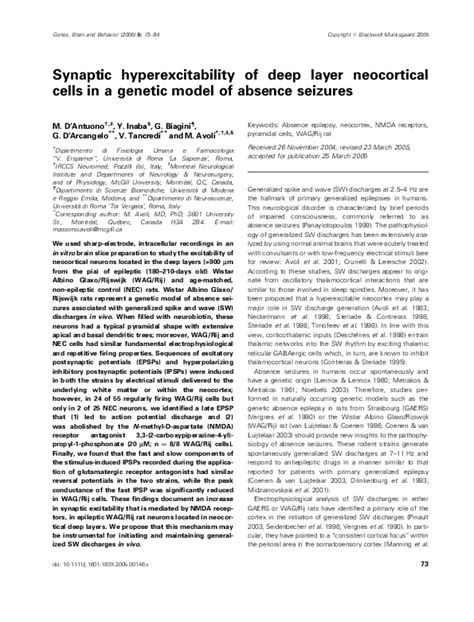 Pdf Synaptic Hyperexcitability Of Deep Layer Neocortical Cells In A