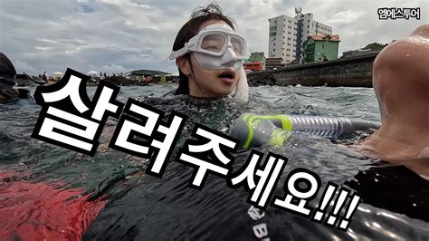엠에스투어 사람이 바다에 빠졌어요 울산 스노쿨링 스팟 판지항 스노쿨링 르노마스터캠핑카 월든캠핑카 월든r500 울산북구노지캠핑 Youtube