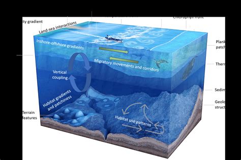 Examples Of Ecological Patterns And Processes That Determine How Download Scientific Diagram